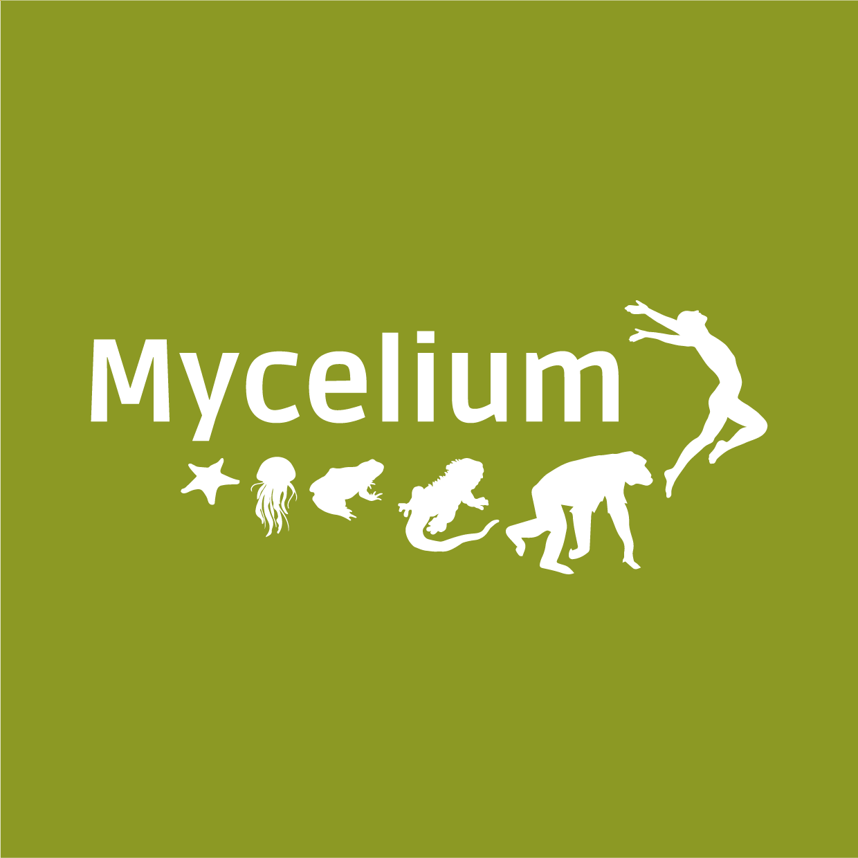 Qui sommes nous - Mycelium Production